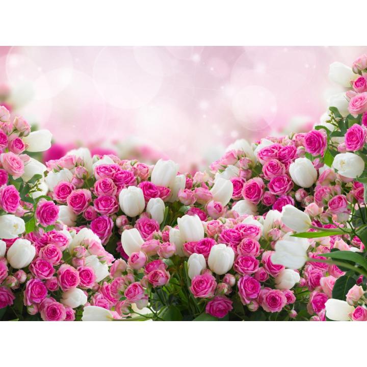 Cycle full body sticker full waterproof 1 feet | Daraz.com.bd