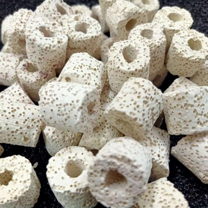 White Porous Ceramic Ring for Aquarium Biological Filtration(1/2kg ...