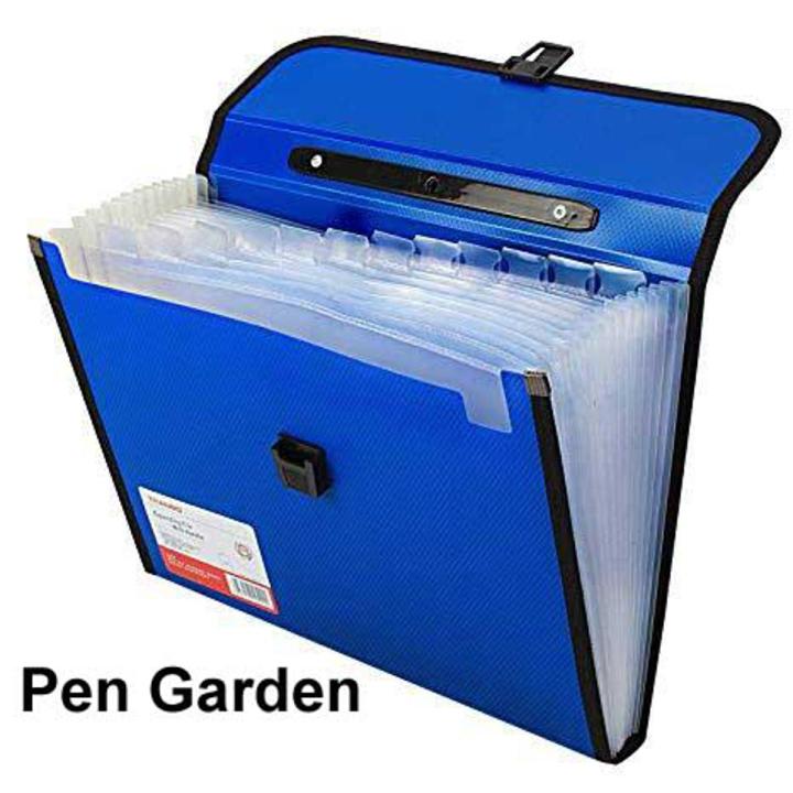 Tranbo / Billy Plastic File Folder with 13 Pockets, Handle, Index Tab ...