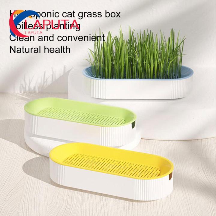 Cat Grass Pot Soilless Planting Stable Base Catmint Plant Box | Daraz ...