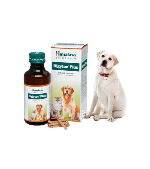Digyton Plus 100 ml for adult cat and dog | Daraz.com.bd