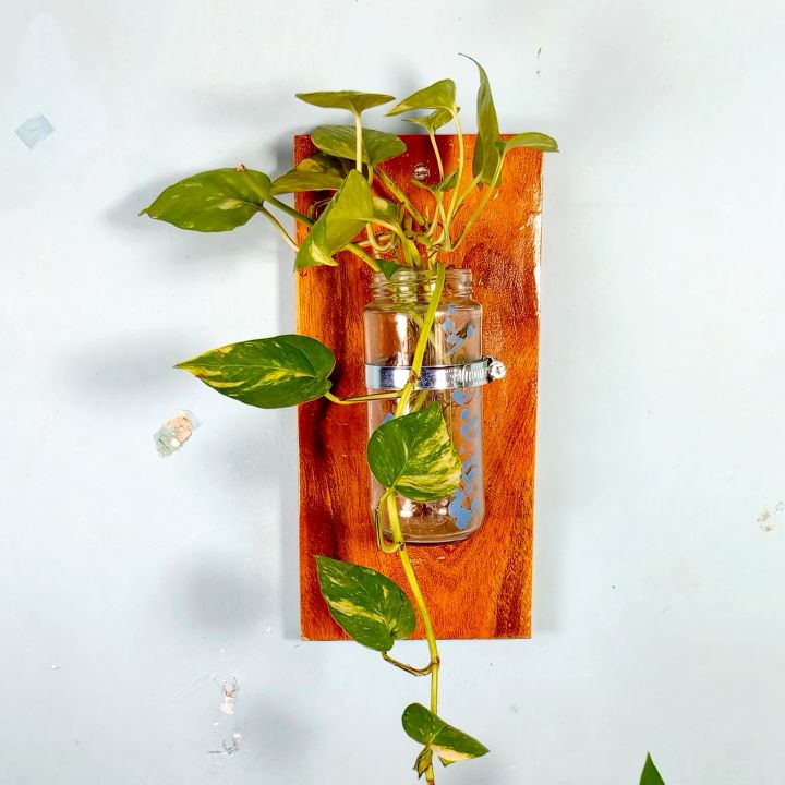 Wall hanging flower Vase with SS clam of natural wood and glass for ...