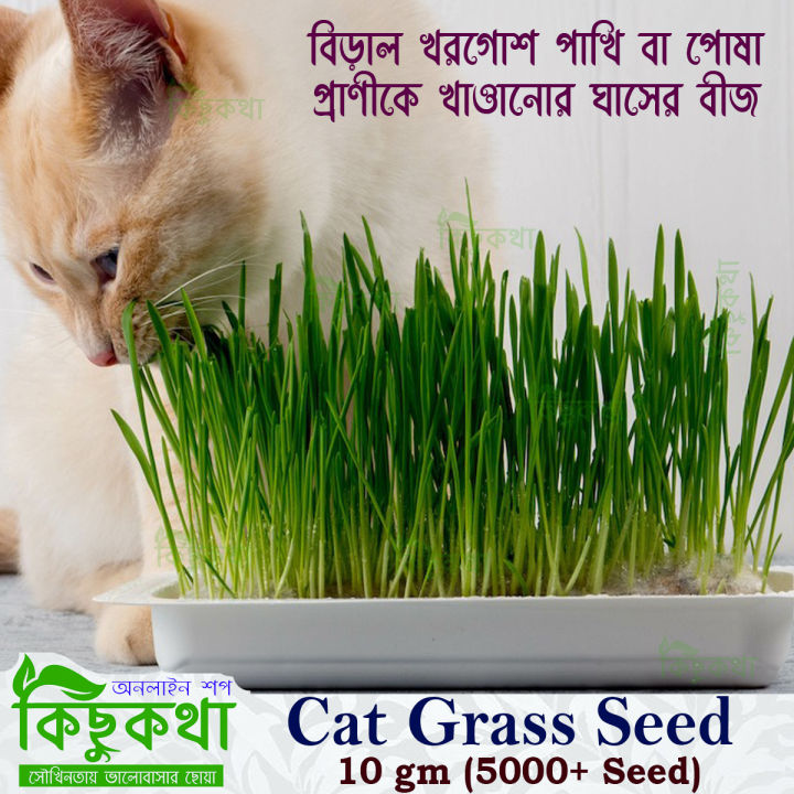 Grass Seeds for Feeding Cats - 10 grams / Seeds for Feeding Other ...