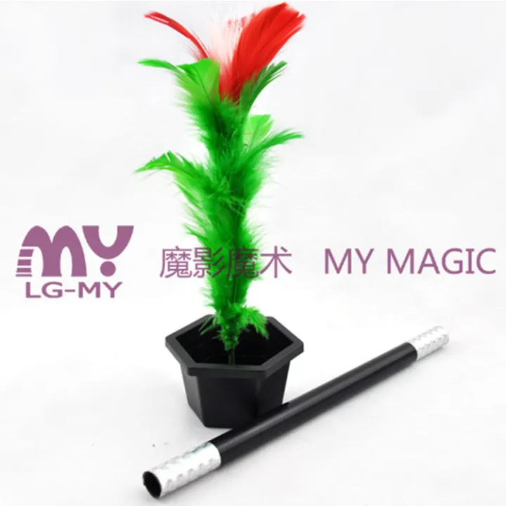 Magic Stick Change Flower Empty Stick Flower Magic Stick Change Flower ...