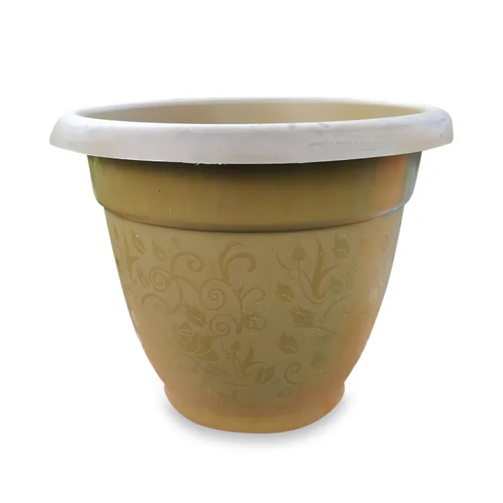 Best combo pack 8" flower tob + flower seeds | Daraz.com.bd