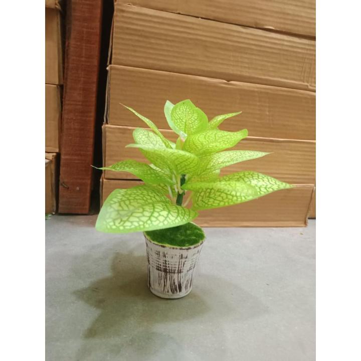 Artificial Plastic Plant Tree - | Daraz.com.bd