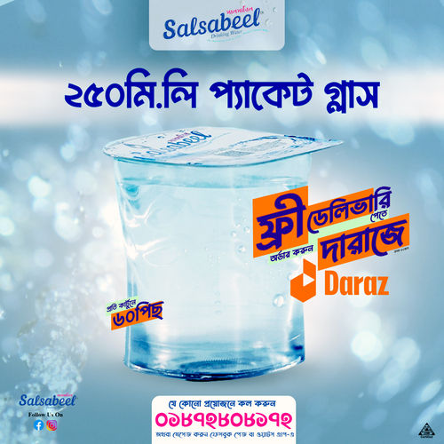 Salsabeel Pure and Fresh Drinking Water 250ML Bottle (10 Box-10X60 ...