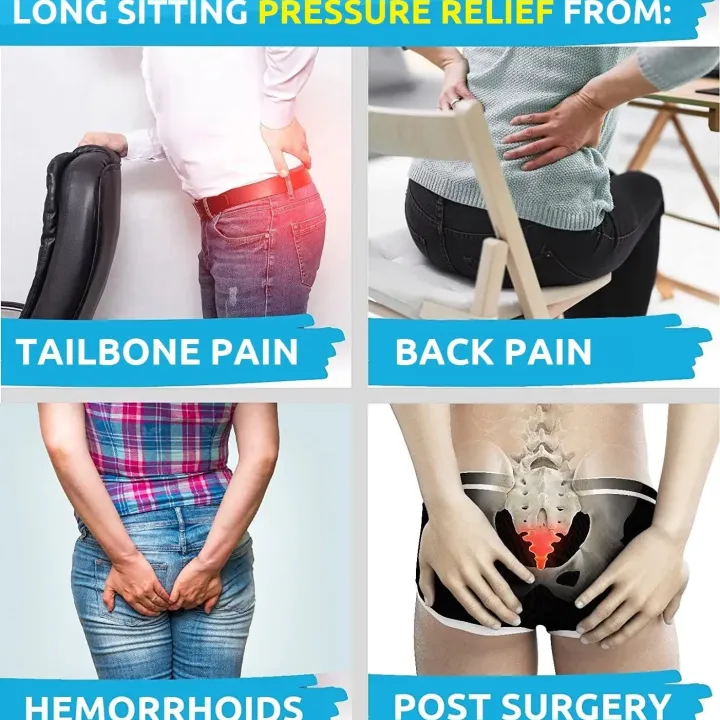 Donut Orthopedic High Density Seat Cushion Relieves Lower Back Pain ...
