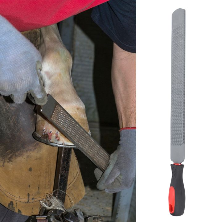 Double-Sided Farrier Horse File Hoof Trimming Shoeing Tool Horse Riding ...