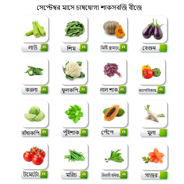 16 Types Vegetable seed Combo Pack|Okra (R), Bitter gourd, Cucumber ...