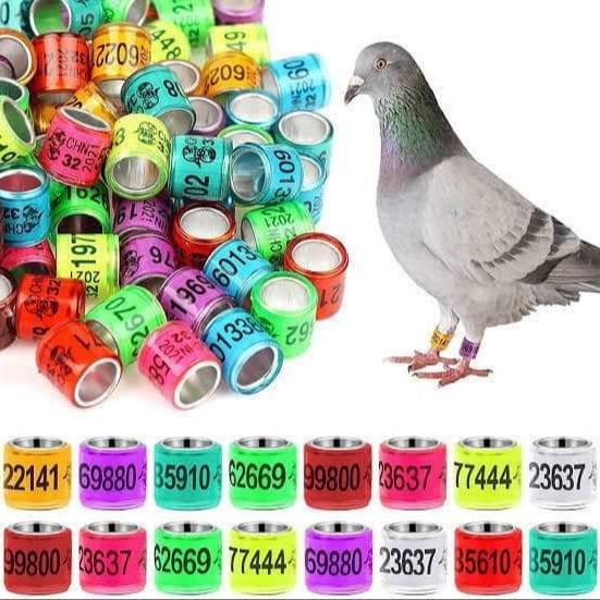 20 pcs 8mm Tag Bird Foot Ring for 2024 Racing Pigeon Rings Pigeon Leg ...