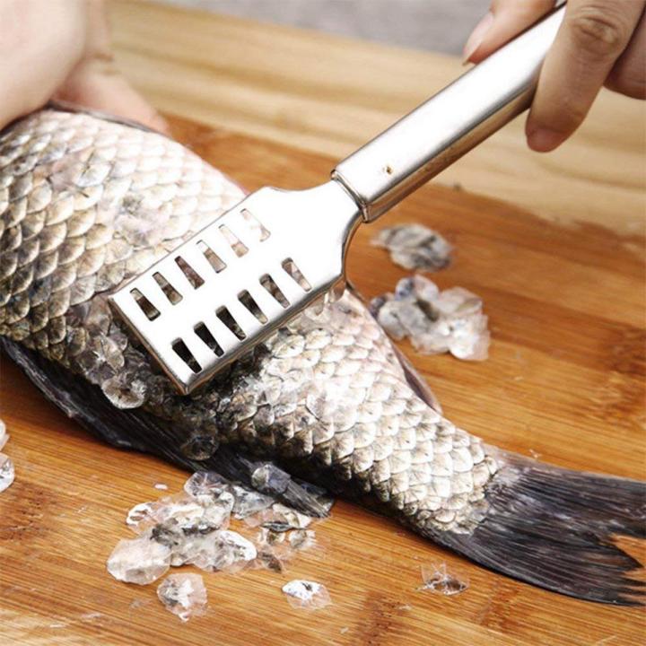 Stainless Steel Fish Scale Cleaner - Silver | Daraz.com.bd