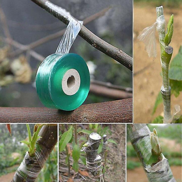 Gardening PVC Film Grafted with Grafting Tape Plants Gardening Tools ...