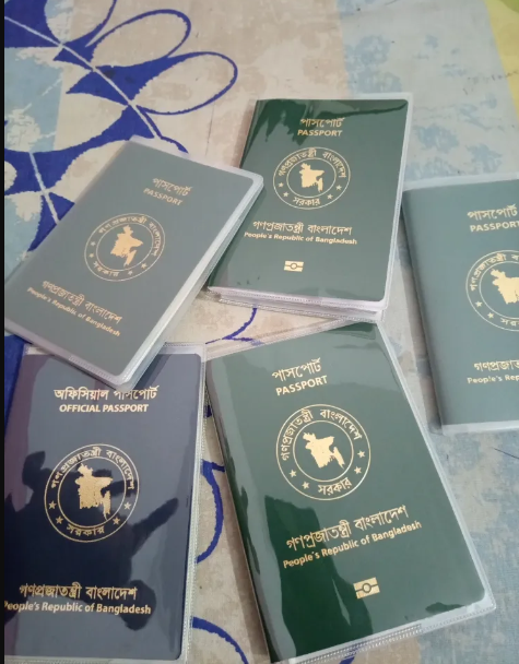 Passport Cover Clear Plastic Passport Protector Case Passport- 1 Pcs ...