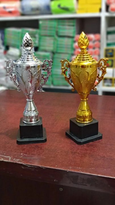 Gold & Silver Mini Trophy 8" Inch - Commemorate Achievements With The ...