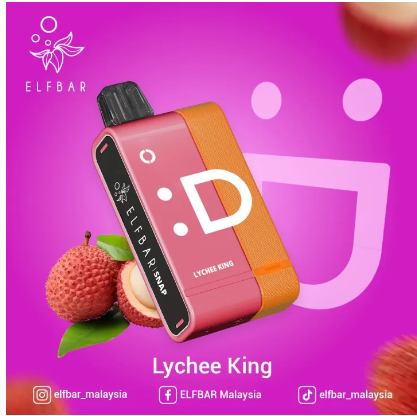 ELFBAR SNAP 14K PUFFS KIT CHANGABLE VAPERS flover Lychee King | Daraz ...