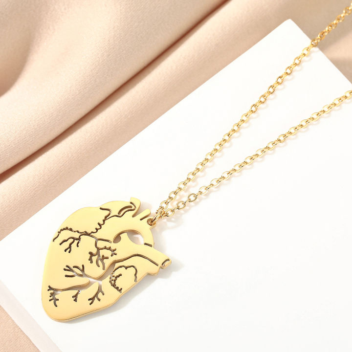 CHENGXUN Anatomical heart Pendant Necklace for Women Girls Stainless ...