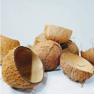 Coconut Shell 10 pieces for showpieces making coconut hard shell ...