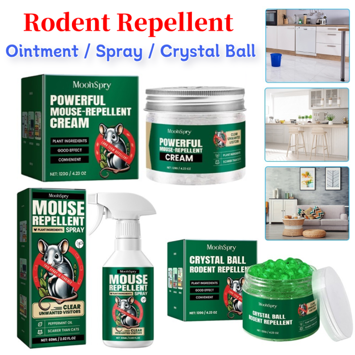 【Shop with Confidence】 Ball Rodent Peppermint Oil To Repel Mice and ...