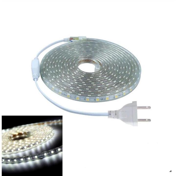 220V 5050 SMD High-voltage LED String Lights IP67 Waterproof Lamp ...