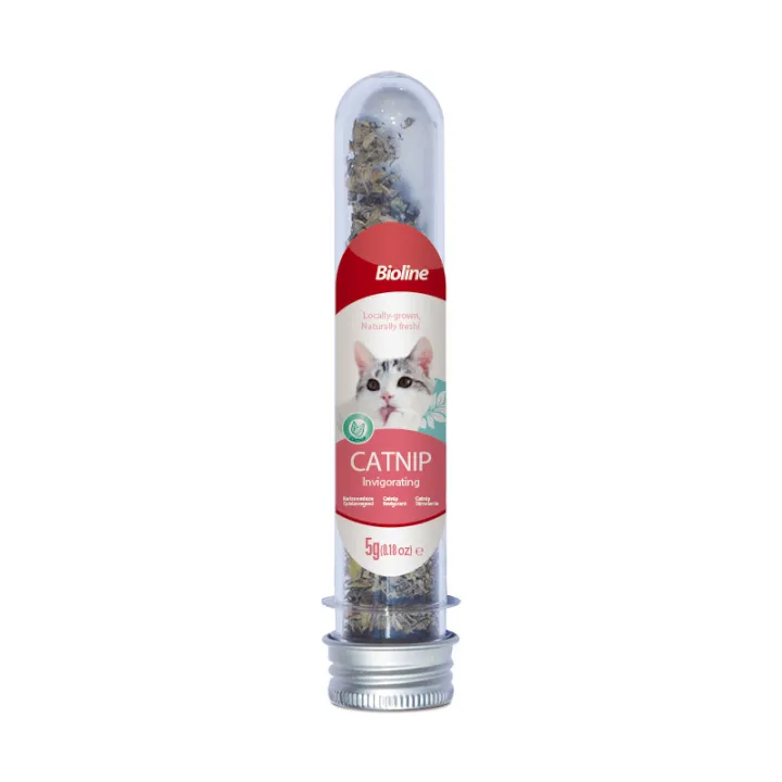 Bioline CatNip Tube 5g | Daraz.com.bd
