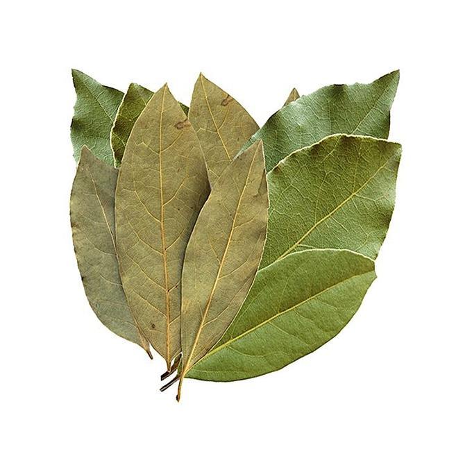 Premium Bay Leaves - 1kg | Daraz.com.bd