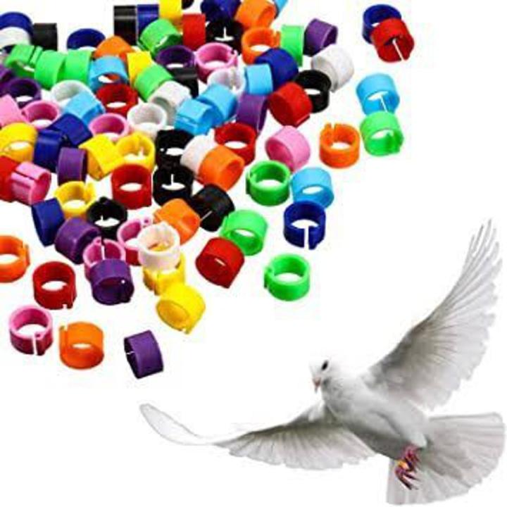 100 Pcs Pigeons Rings 8mm Ring Opening Pigeon Ring | Daraz.com.bd