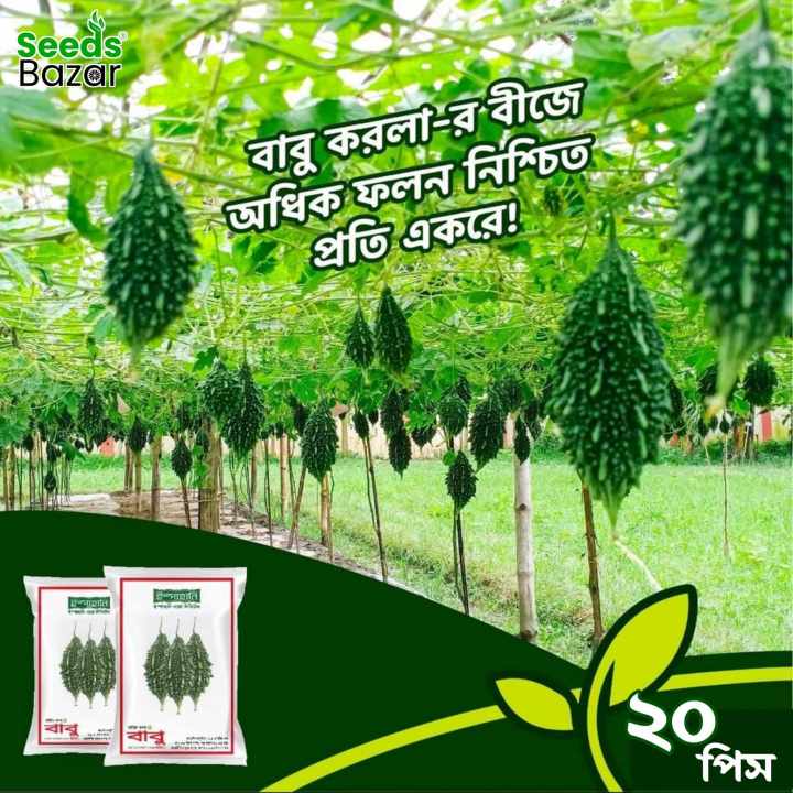 Bitter Gourd (করলা) Seeds 20 Pices (All Season Bitter Gourd Seeds ...