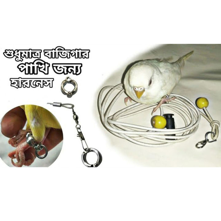 Birds Leg Chain For Small All Birds Flying | Daraz.com.bd