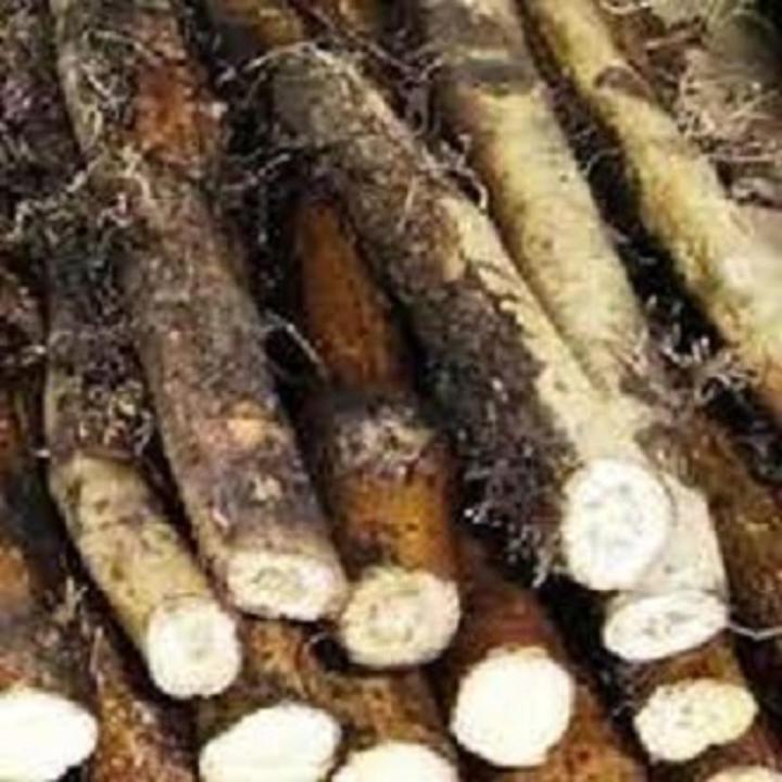 Chui Jhal - 100gm | Daraz.com.bd