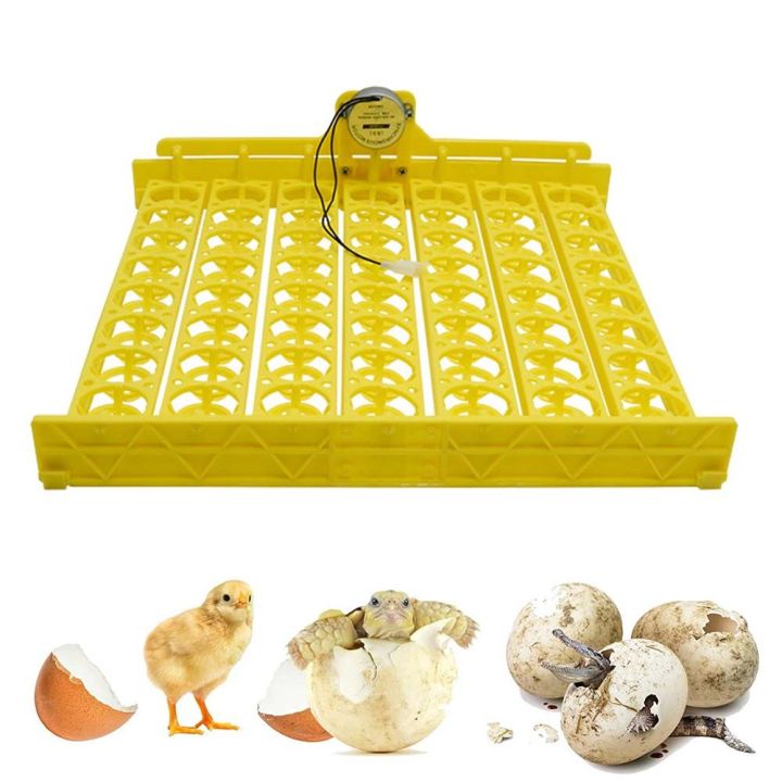 220V Automatic With Auto Turn Motor Multifunction Egg Turning Tray ...