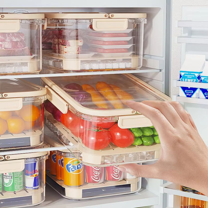 Refrigerator Storage Box Handheld Crisper Box Fridge Organizer Fresh ...