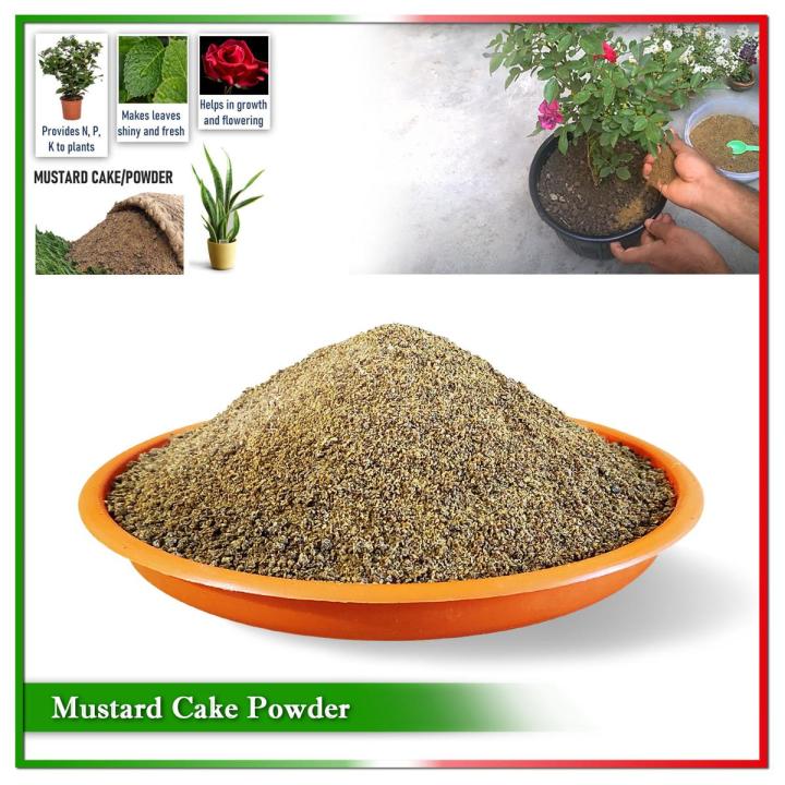 Natural Mustard Cake Powder - 1 kg | Daraz.com.bd