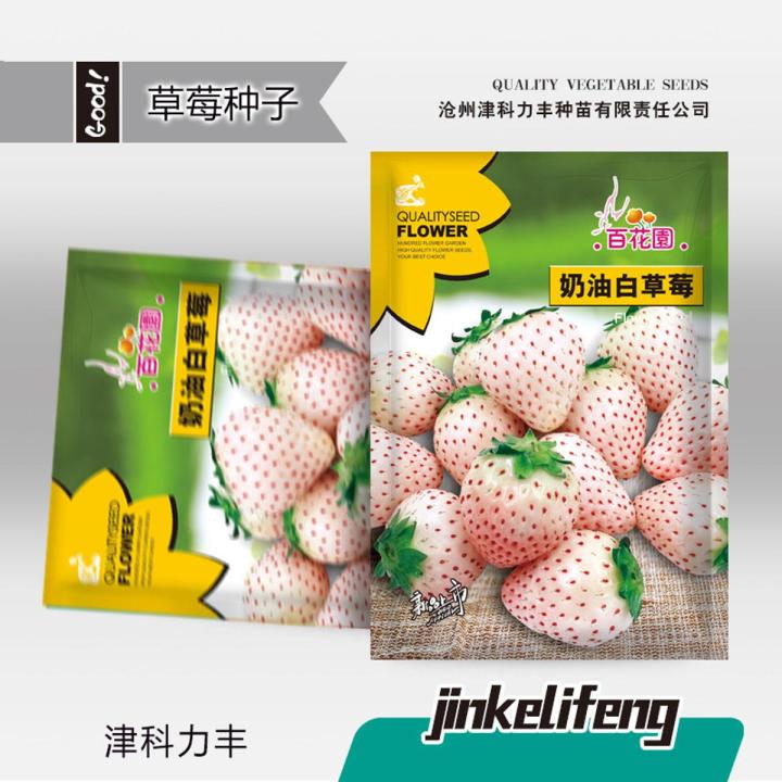 CREAMY WHITE STRAWBERRY SEEDS, CHINA INTAKE PACKET - 200 SEEDS | Daraz ...