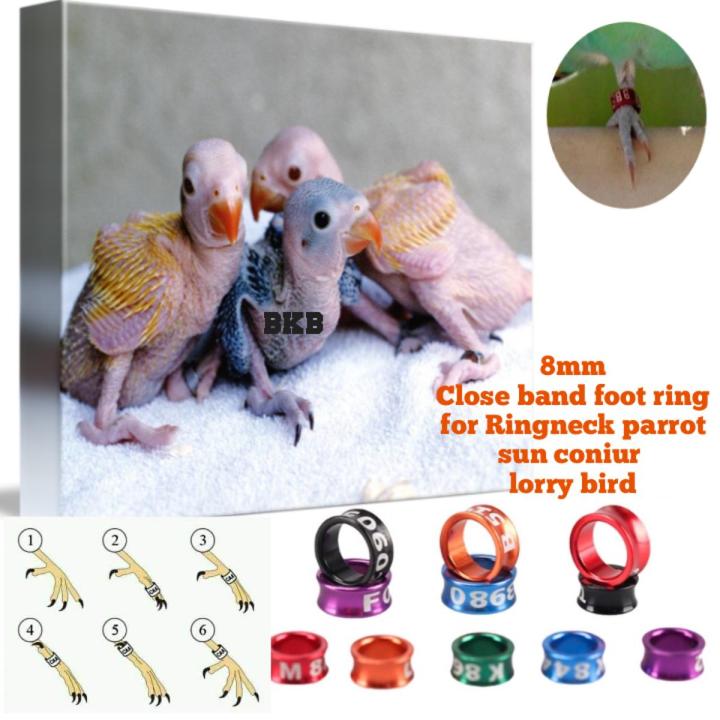 {2pcs} 8mm bird foot ring slose band foot ring tag for ringneck parrot ...