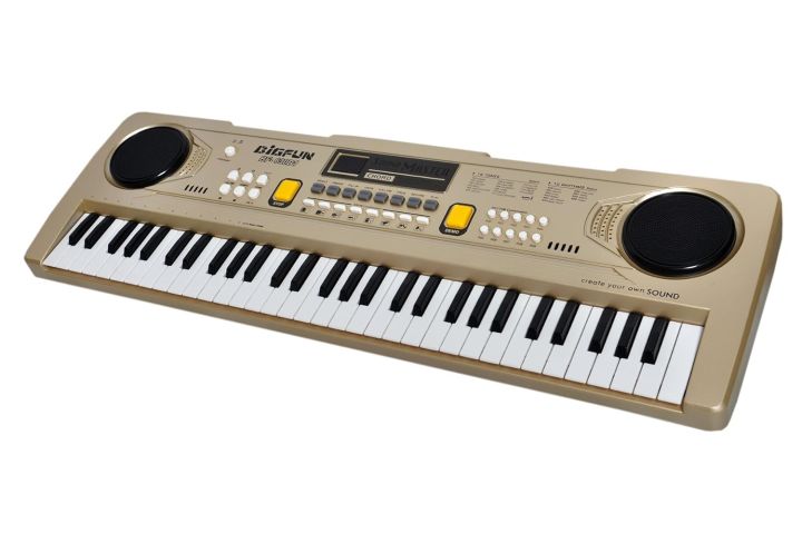 Big Fun Electronic Keyboard 61 Keys | Daraz.com.bd