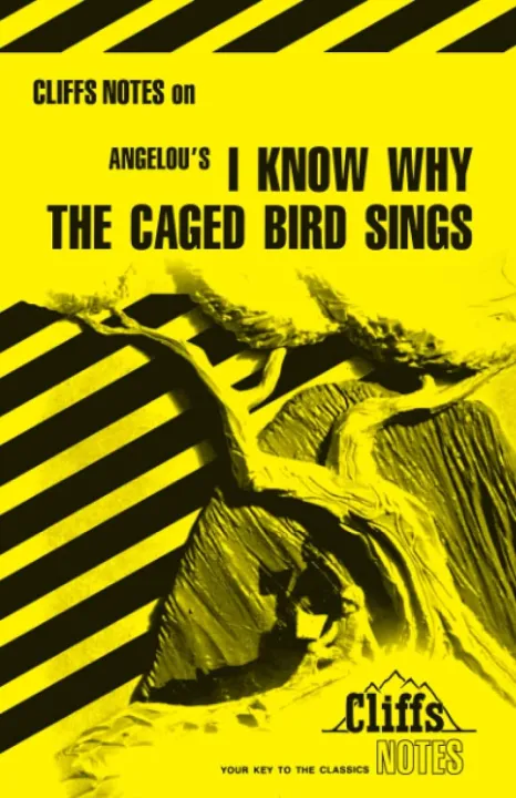 I Know Why the Caged Bird Sings (Cliffs Notes) By Mary Robinson | Daraz ...