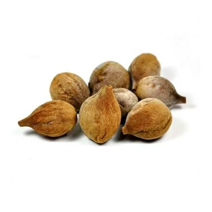 Belleric Myrobalan (Bohera) - 100gm | Daraz.com.bd