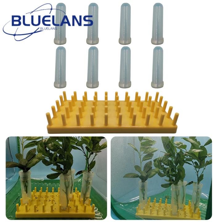 Stem Leaf Cutting Storage Tube Healthy Growth Plant Stand with Water ...
