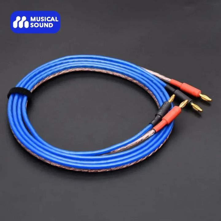 Musical Sound Speaker Cable Wire with Gold-Plated Banana Plugs Dual ...