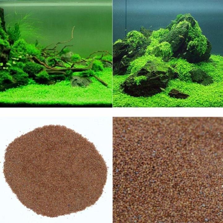 Aquarium Floating Grass Seeds - 300 Pcs | Daraz.com.bd