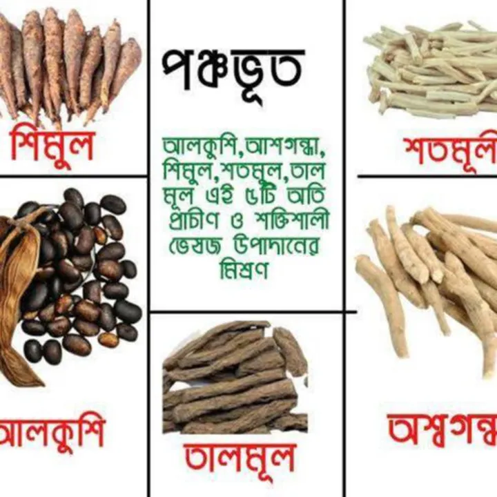 Ponchavut, Panchavut, Ponchobhut, (Shimul, Shotomul, Ashwagondha ...