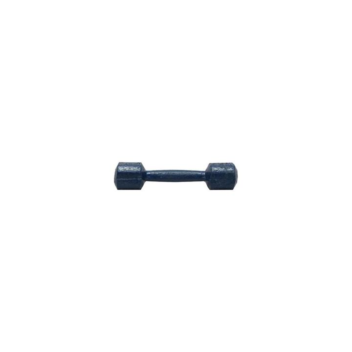 3 Kg Dumbbell - Blue | Daraz.com.bd