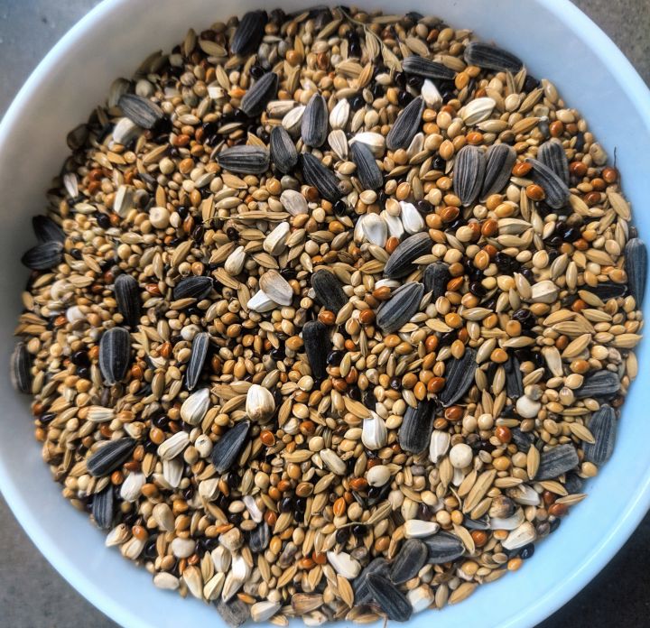 Seed mix for birds | Daraz.com.bd
