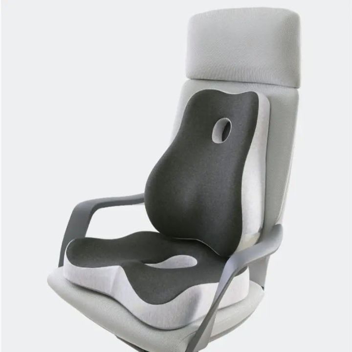 Lumbar Back Support Cushion for Home Office Chair | Seat & Posture ...