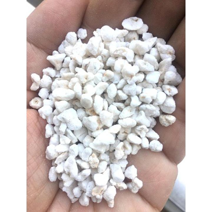 Perlite-Loose Perlite-Imported perlite 100g | Daraz.com.bd