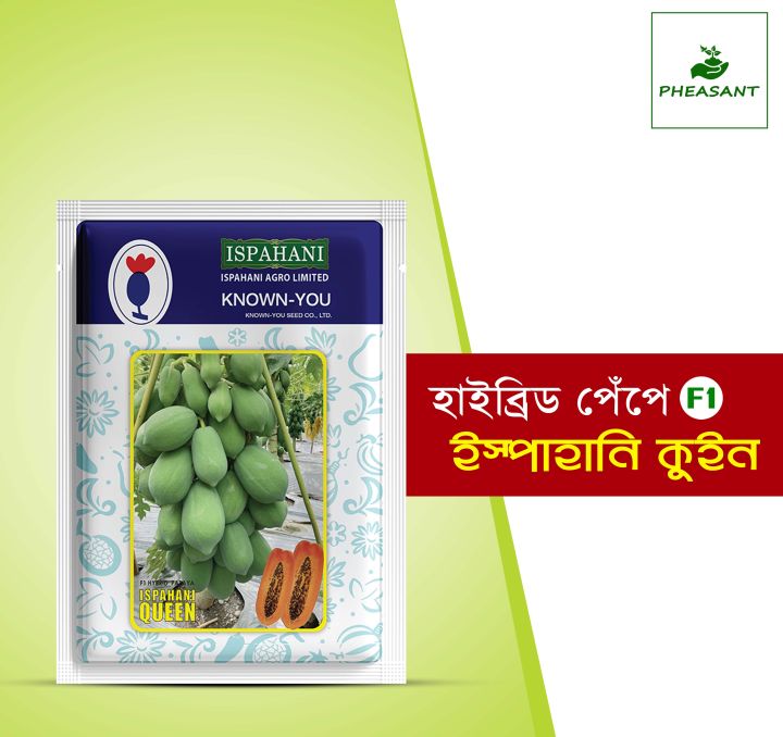 Hybrid (F1) Papaya (পেঁপে) Seed Ispahani Queen (Mini Intact Packet ...