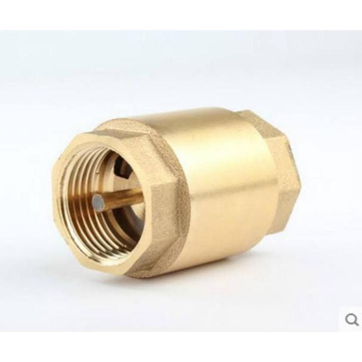 spring check valve 1" one inch bs water supply system water line check ...