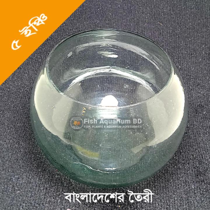 Transperant Fish Jar | 5 Inches Bangladesh Fish Bowl | Deshi Fish ...