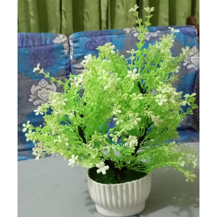 Artificial Plastic Plant Tree Rif 2 | Daraz.com.bd